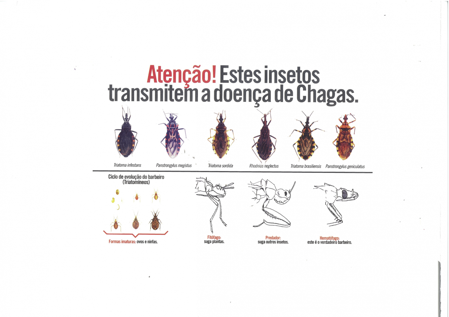 Profissionais de Saúde – Portal da Doença de Chagas